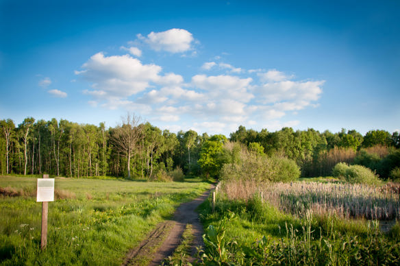 Elmbridge Commons - Littleworth Common - Woodland Trust