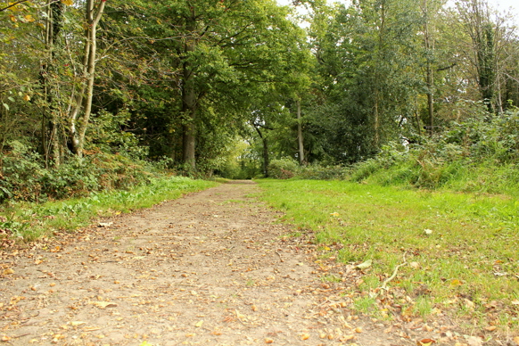 Kenley - Woodland Trust