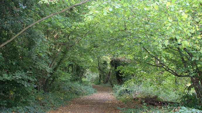 Foxley Wood - Woodland Trust
