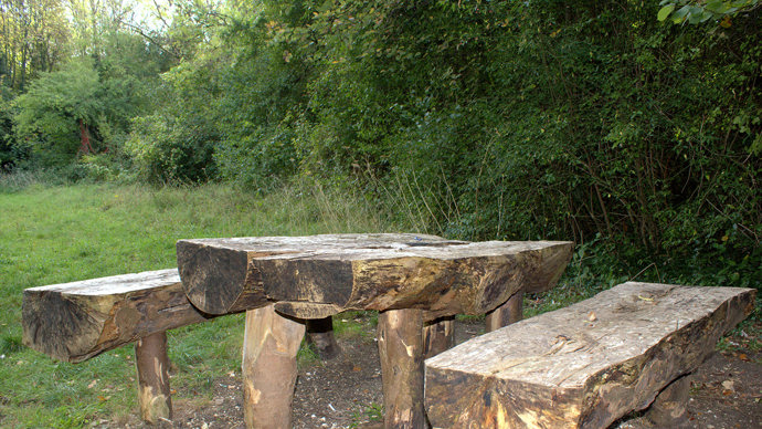 Foxley Wood - Woodland Trust