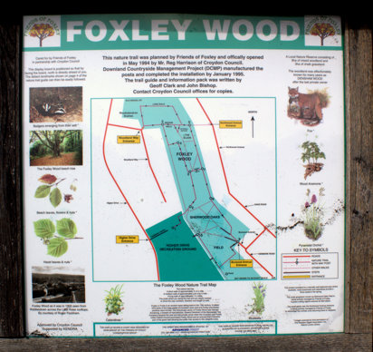 Foxley Wood - Woodland Trust