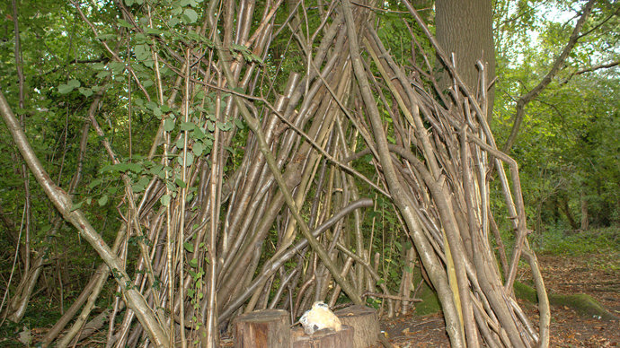 Foxley Wood - Woodland Trust