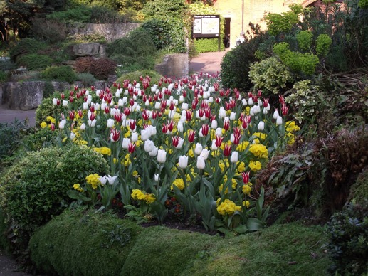Coombe Wood - Woodland Trust