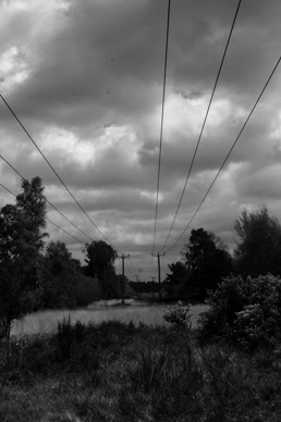 Chobham Common - Woodland Trust