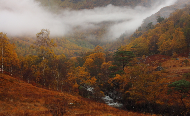 Steall Gorge woodland - Woodland Trust