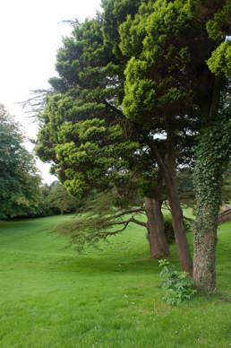 Overtoun Estate - Woodland Trust