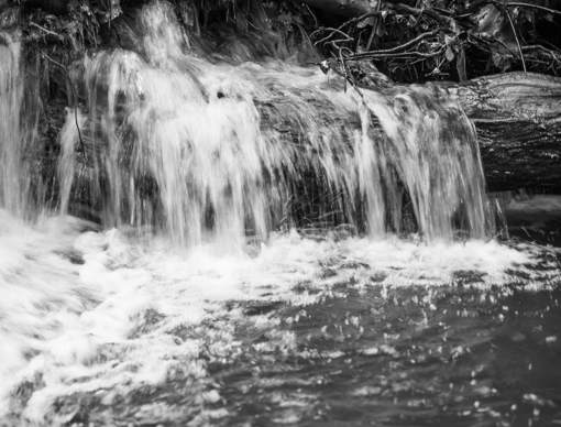 Overtoun Estate - Woodland Trust