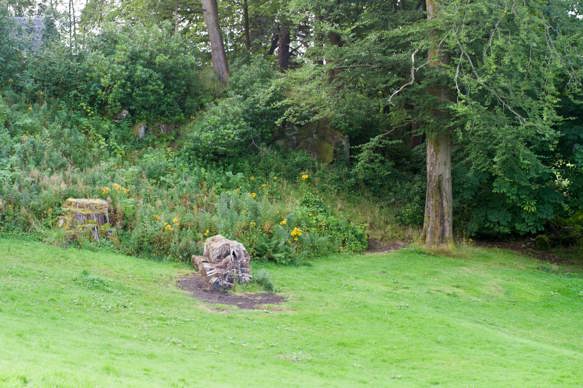 Overtoun Estate - Woodland Trust