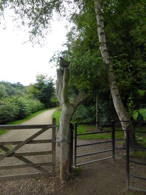 Macclesfield Riverside Park - Woodland Trust