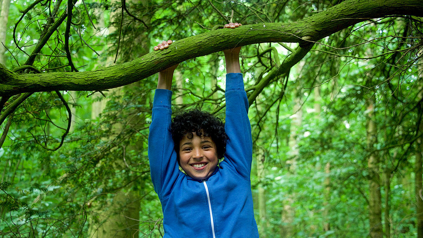 Create Your Own Tree Champion - Woodland Trust