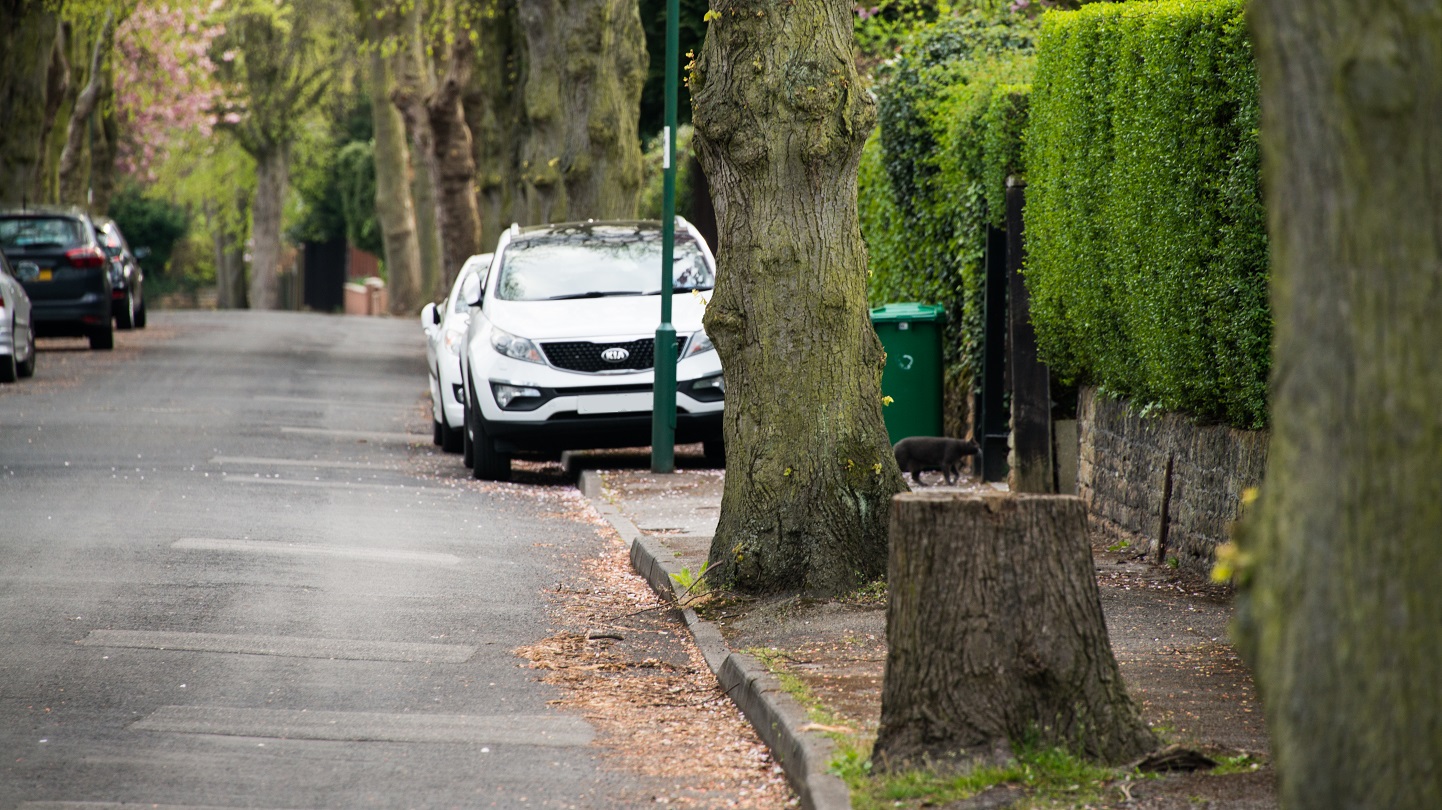 Urban Trees and Woodland - British Habitats - Woodland Trust
