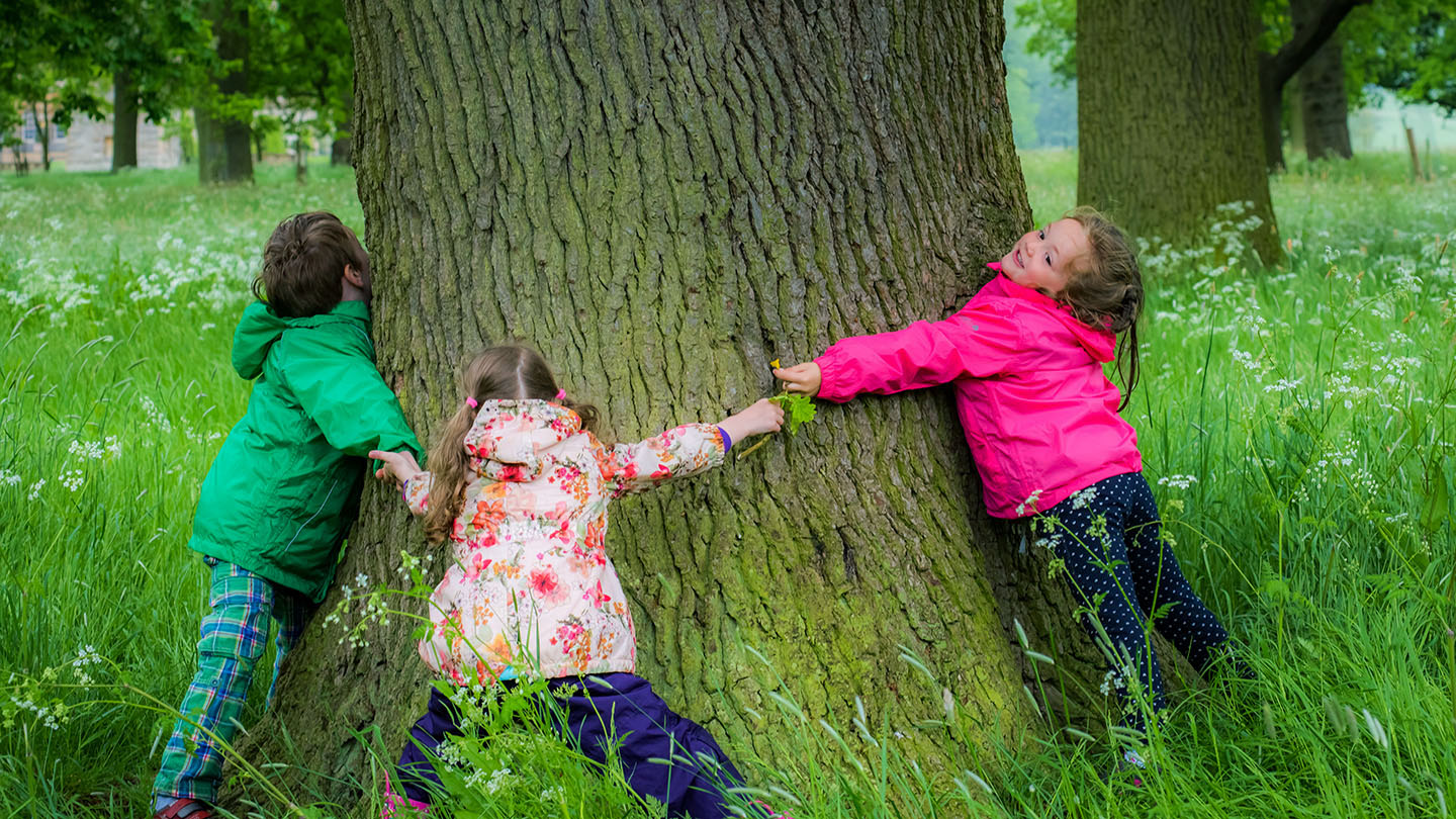 Organise a Tree Party to Celebrate the Environment - Green Tree Schools ...