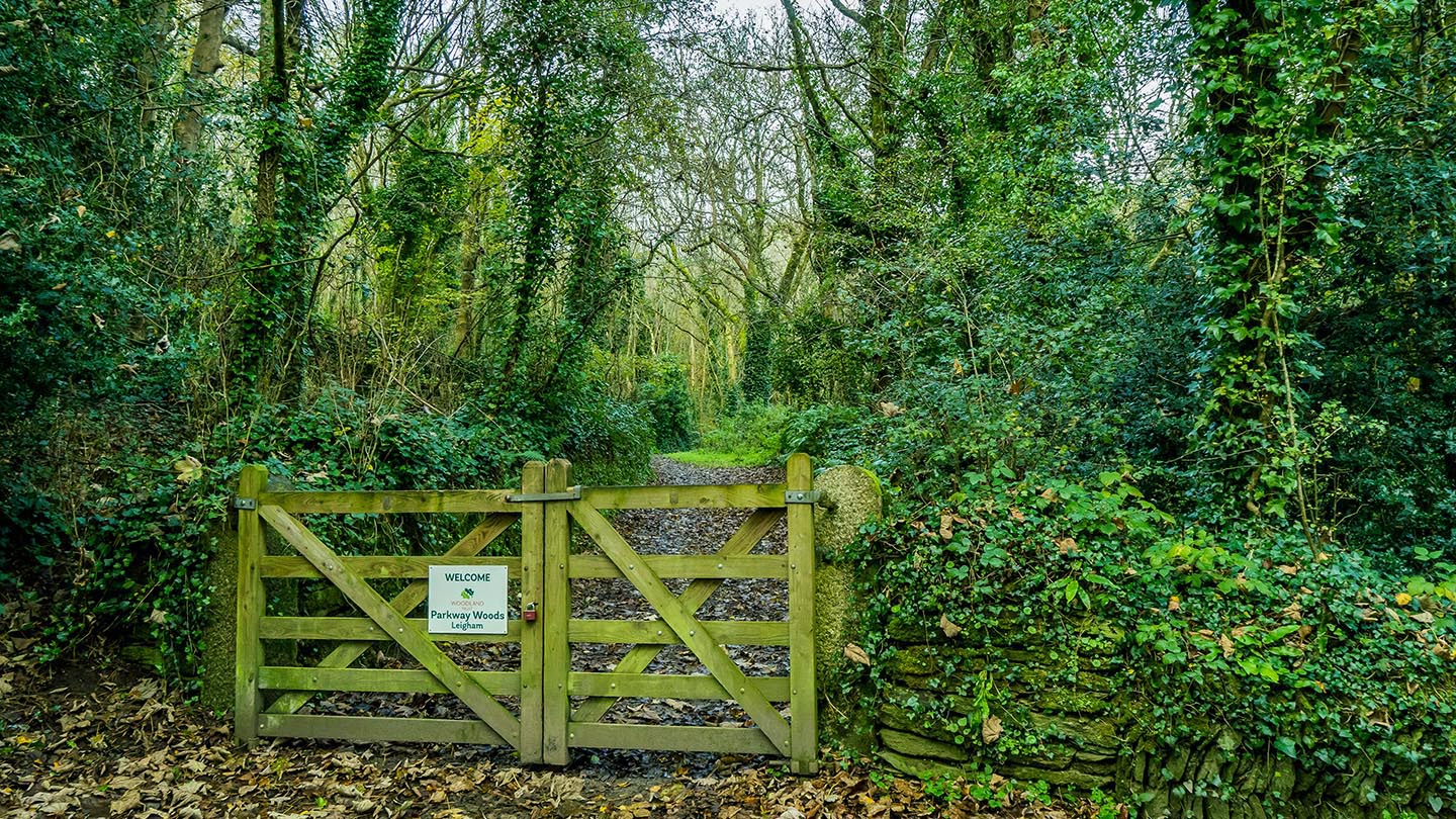 Parkway Woods - Visiting Woods - Woodland Trust