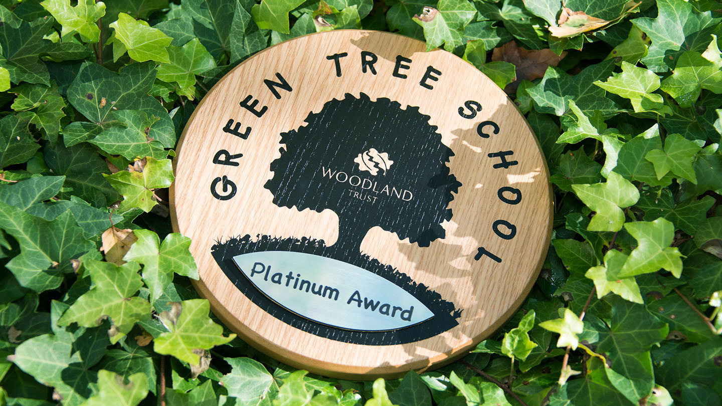 How Your School Can Help the Environment - Woodland Trust