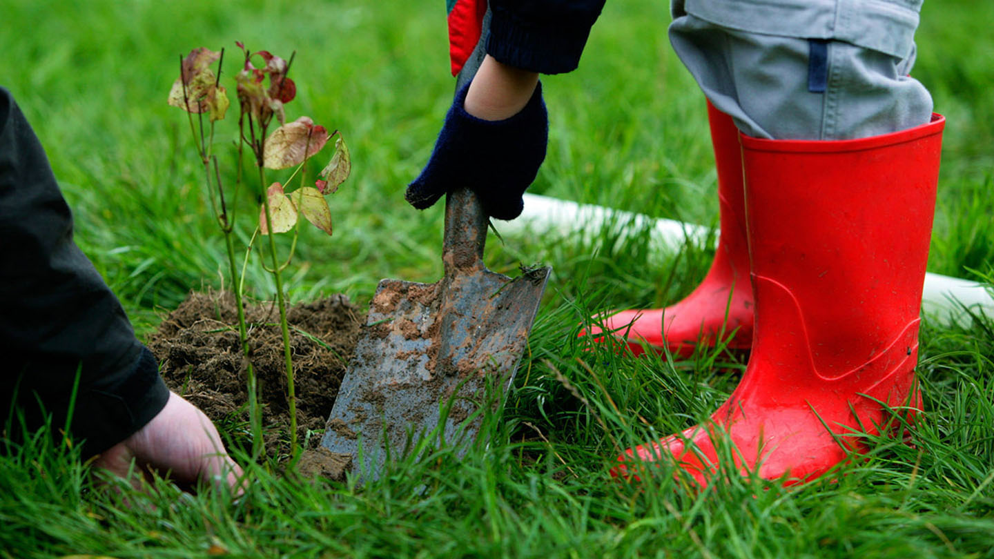 How Your School Can Help the Environment - Woodland Trust