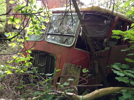 Hevingham Park - Woodland Trust