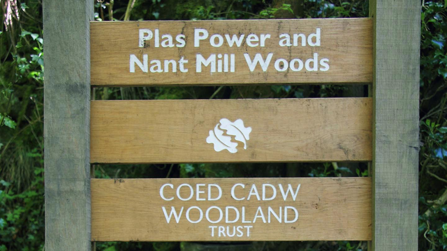 Plas Power Woods - Visiting Woods - Woodland Trust