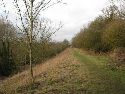 Letcombe Valley - Woodland Trust