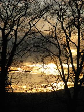 Letcombe Valley - Woodland Trust