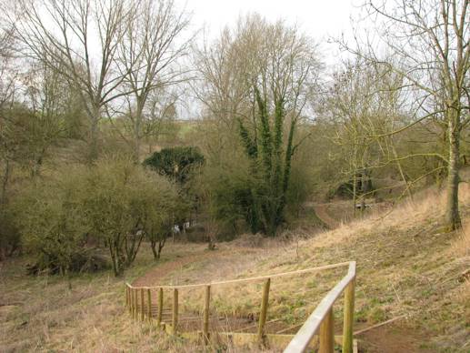Letcombe Valley - Woodland Trust