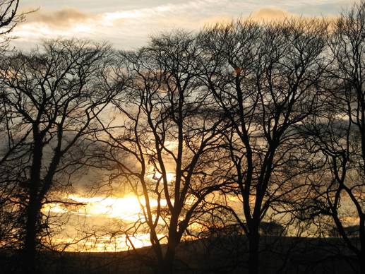Letcombe Valley - Woodland Trust