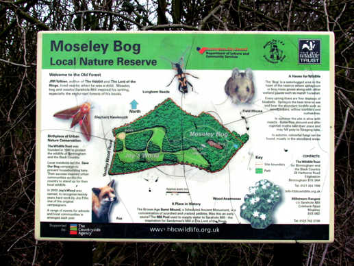 Moseley Bog Local Nature Reserve - Woodland Trust
