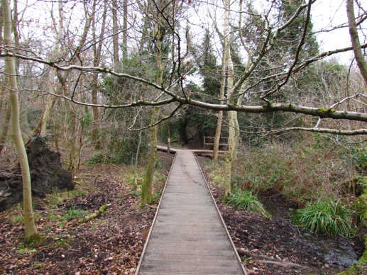 Moseley Bog Local Nature Reserve - Woodland Trust