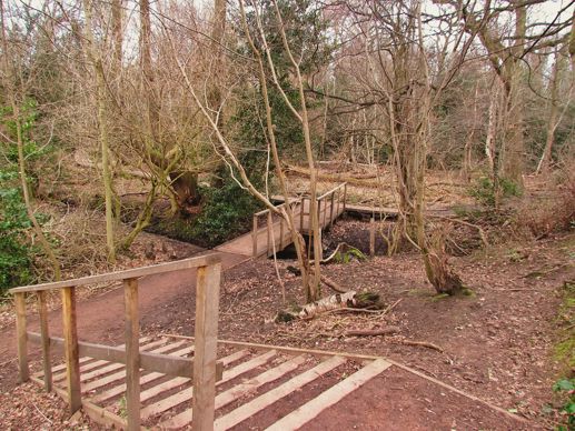 Moseley Bog Local Nature Reserve - Woodland Trust