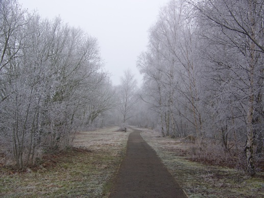 Potteric Carr Nature Reserve - Woodland Trust