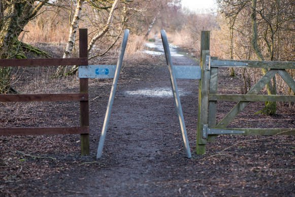 Angus Millennium Forest - Newtyle Park - Woodland Trust