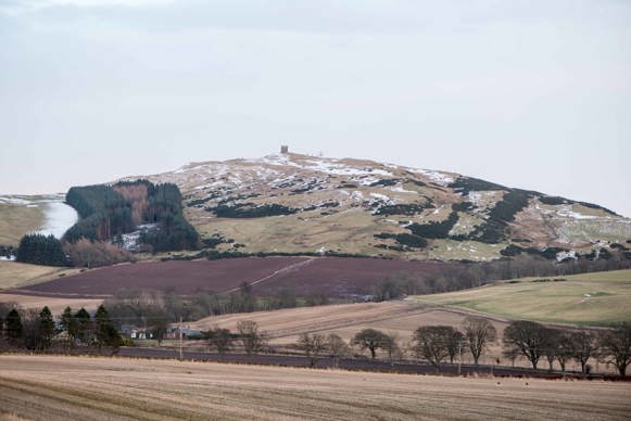 Angus Millennium Forest - Newtyle Park - Woodland Trust