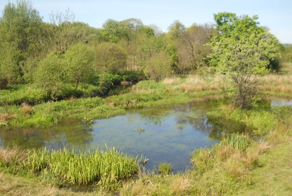 Darnley Mill and Waulkmill Glen - Woodland Trust