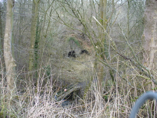 Muiravonside Country Park - Woodland Trust