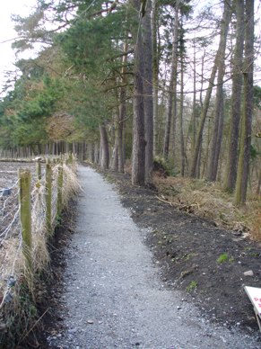 Muiravonside Country Park - Woodland Trust