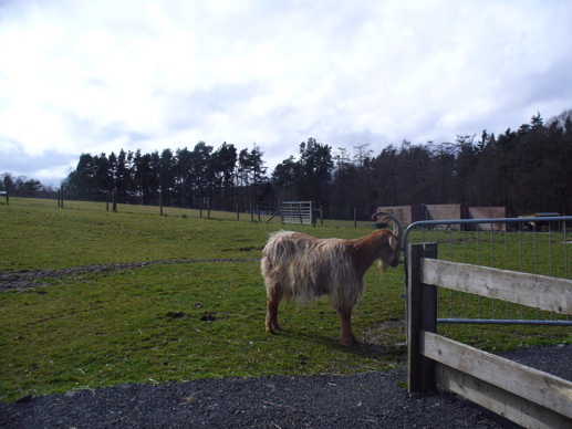 Muiravonside Country Park - Woodland Trust