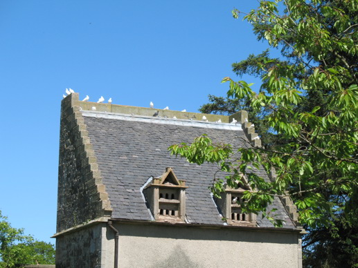 Muiravonside Country Park - Woodland Trust