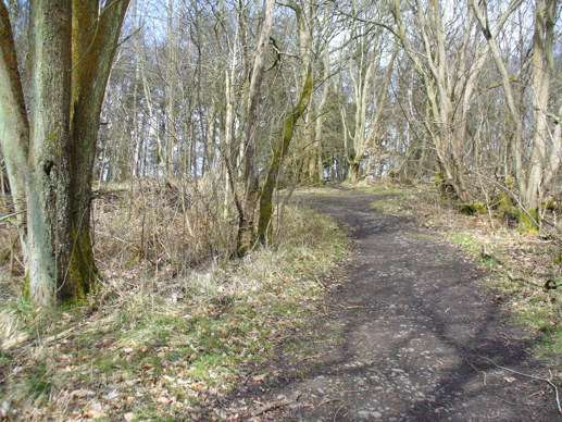 Muiravonside Country Park - Woodland Trust