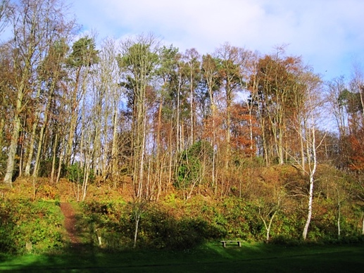 Quarrymill Woodland Park - Woodland Trust