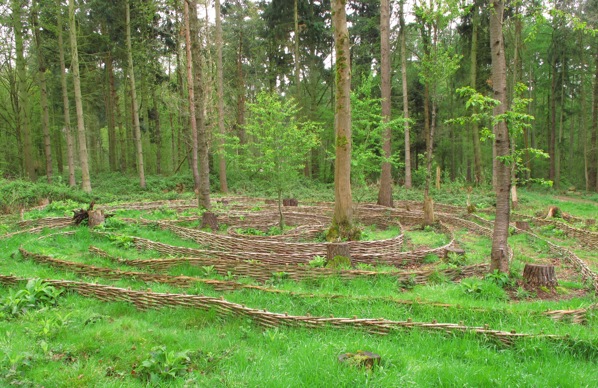 Chiltern Woodland Burial Park - Woodland Trust