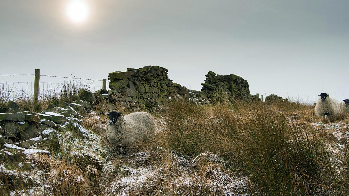 Smithills Estate - Visiting Woods - Woodland Trust