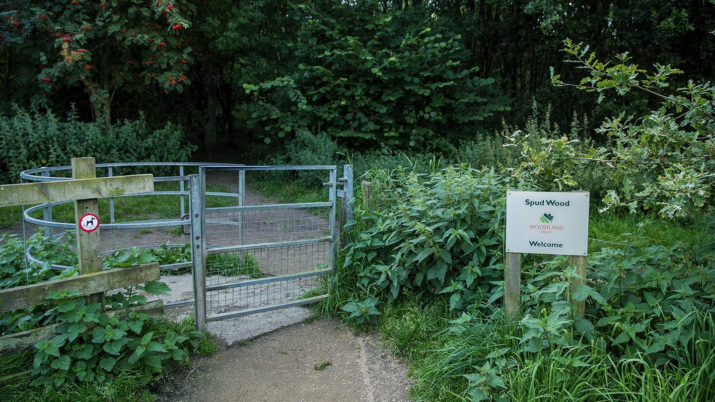 Spud Wood - Visiting Woods - Woodland Trust