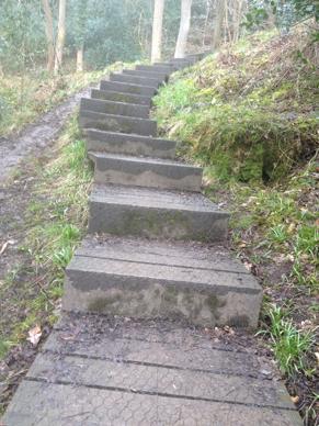 Severn Gorge Woodlands - Benthall Edge Wood - Woodland Trust