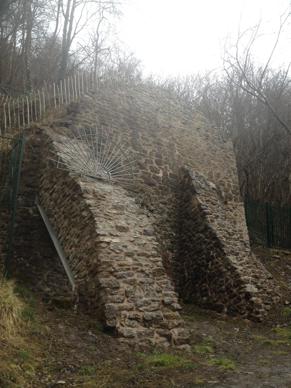 Severn Gorge Woodlands - Benthall Edge Wood - Woodland Trust