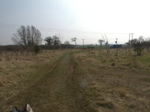 Mareham Pastures Local Nature Reserve - Woodland Trust