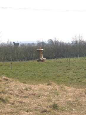 Mareham Pastures Local Nature Reserve - Woodland Trust