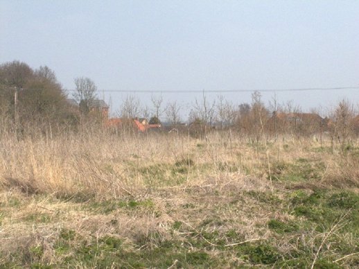 Mareham Pastures Local Nature Reserve - Woodland Trust