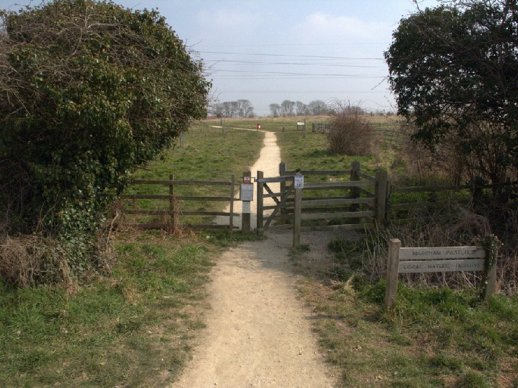 Mareham Pastures Local Nature Reserve - Woodland Trust