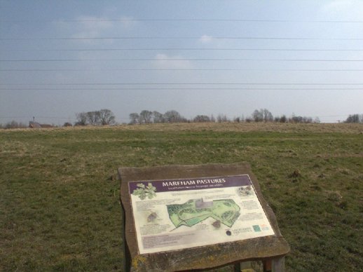 Mareham Pastures Local Nature Reserve - Woodland Trust