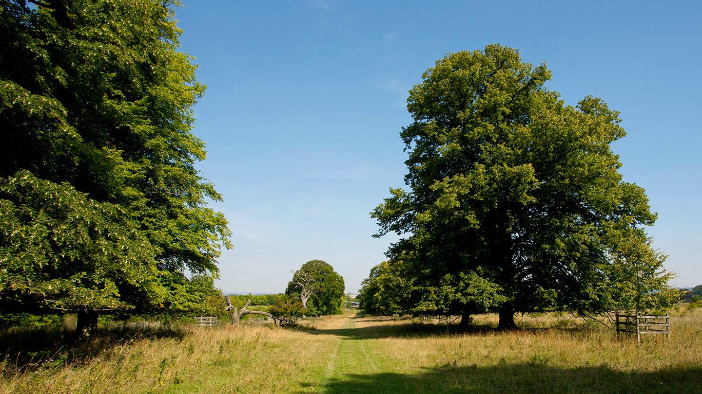 Tring Park - Visiting Woods - Woodland Trust