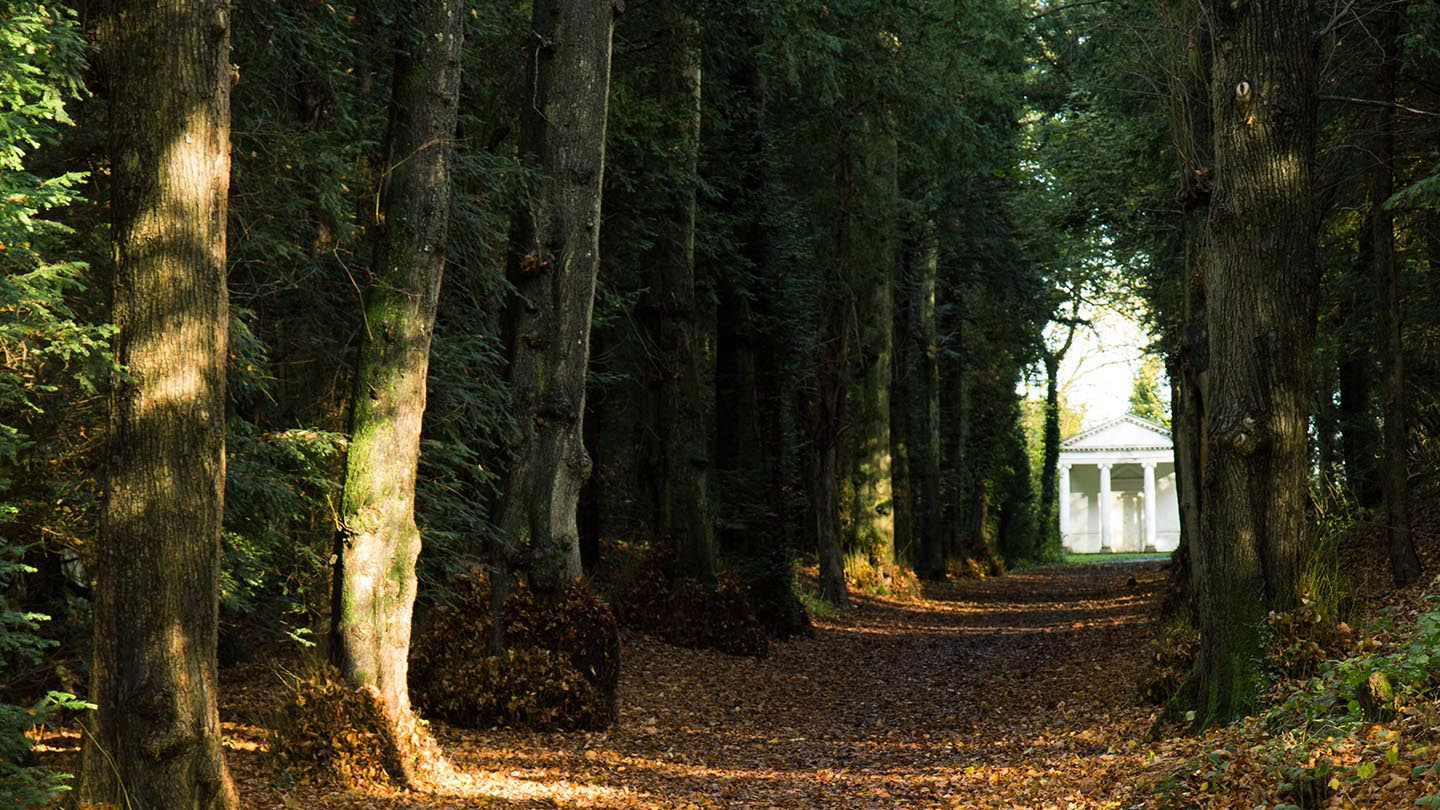 Tring Park - Visiting Woods - Woodland Trust